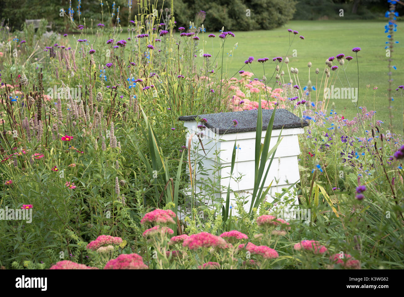 Bumblebee hive hi-res stock photography and images - Alamy