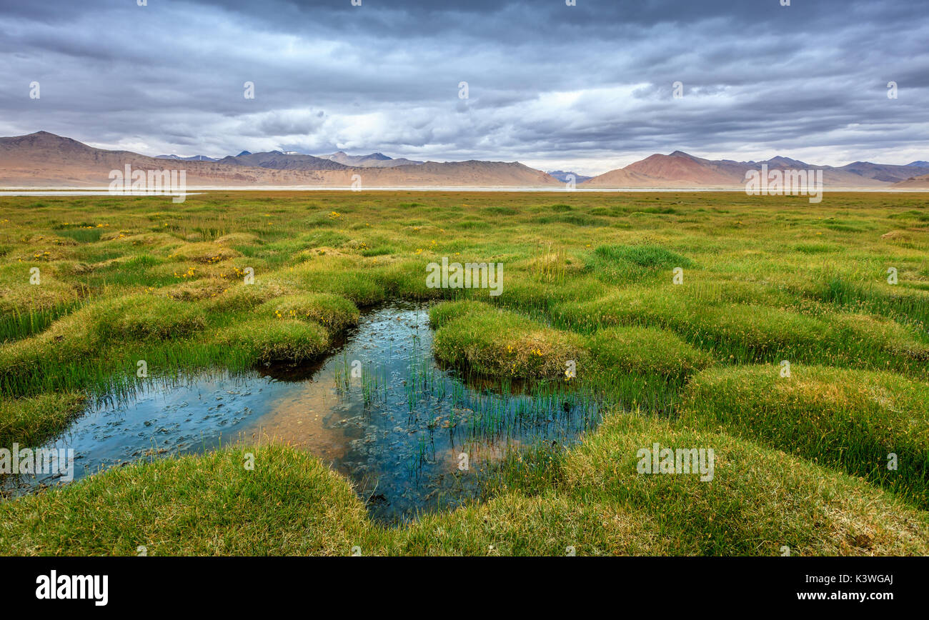 Tso Kar salt lake in the southern part of Ladakh, Kashmir, India Stock ...