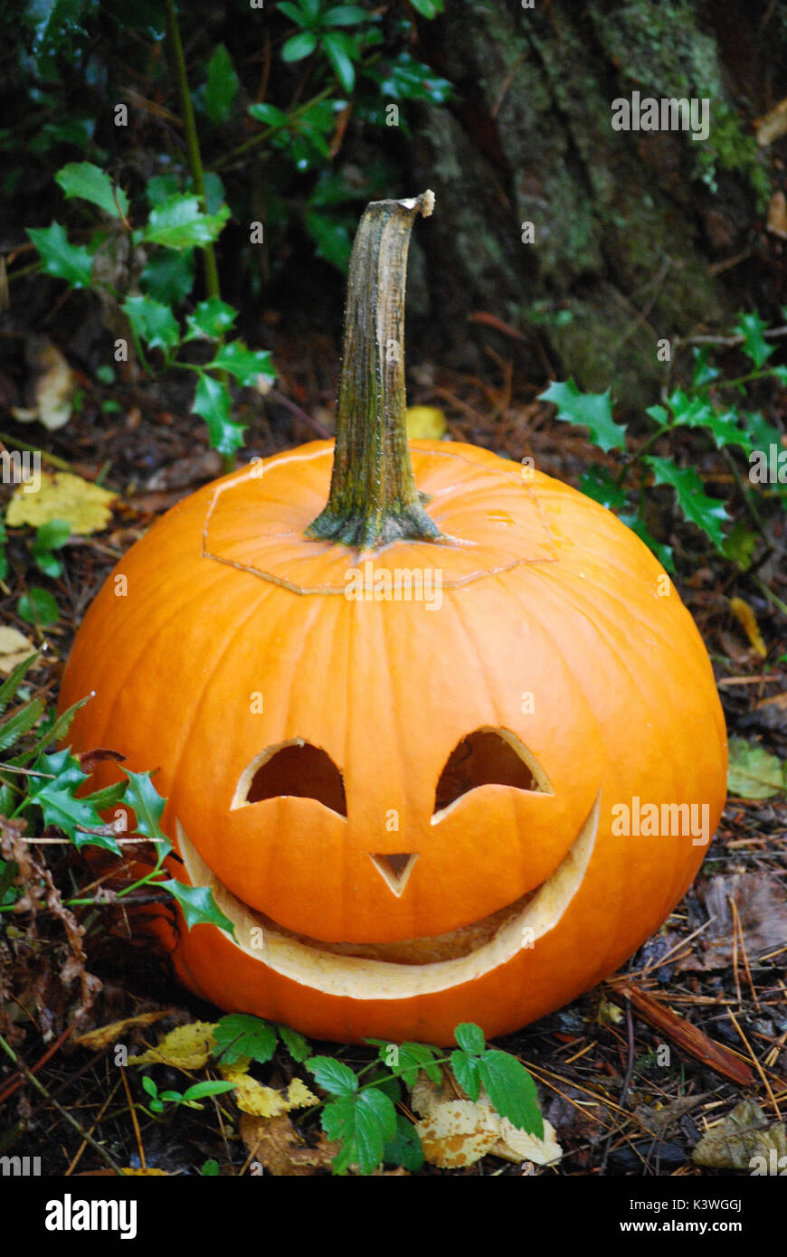 Happy jack island hi-res stock photography and images - Alamy