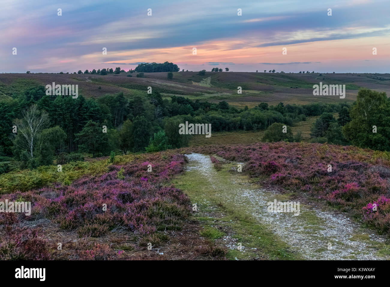 Rockford common linwood hi-res stock photography and images - Alamy