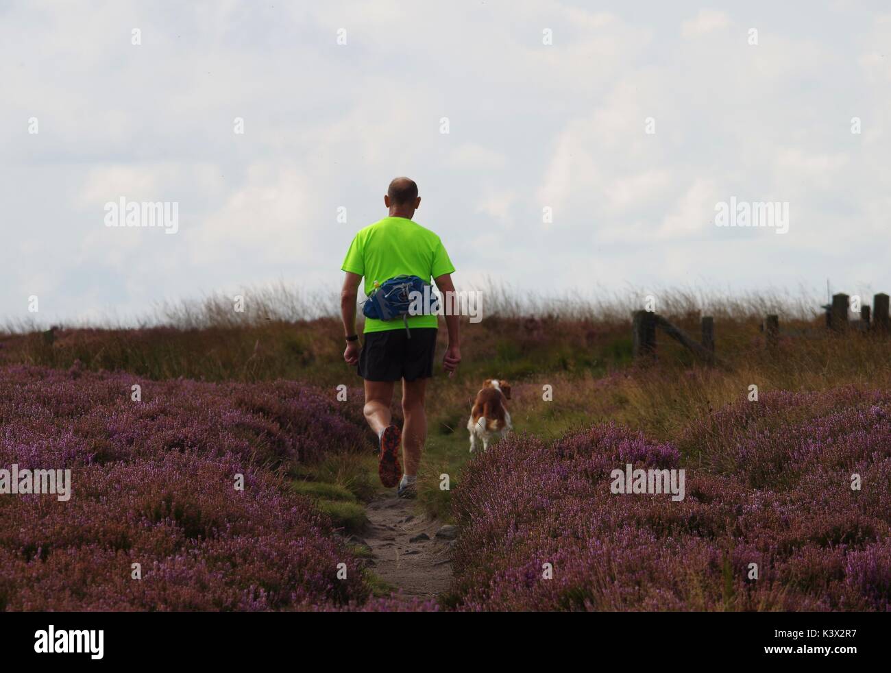 The fox house longshaw hi-res stock photography and images - Alamy