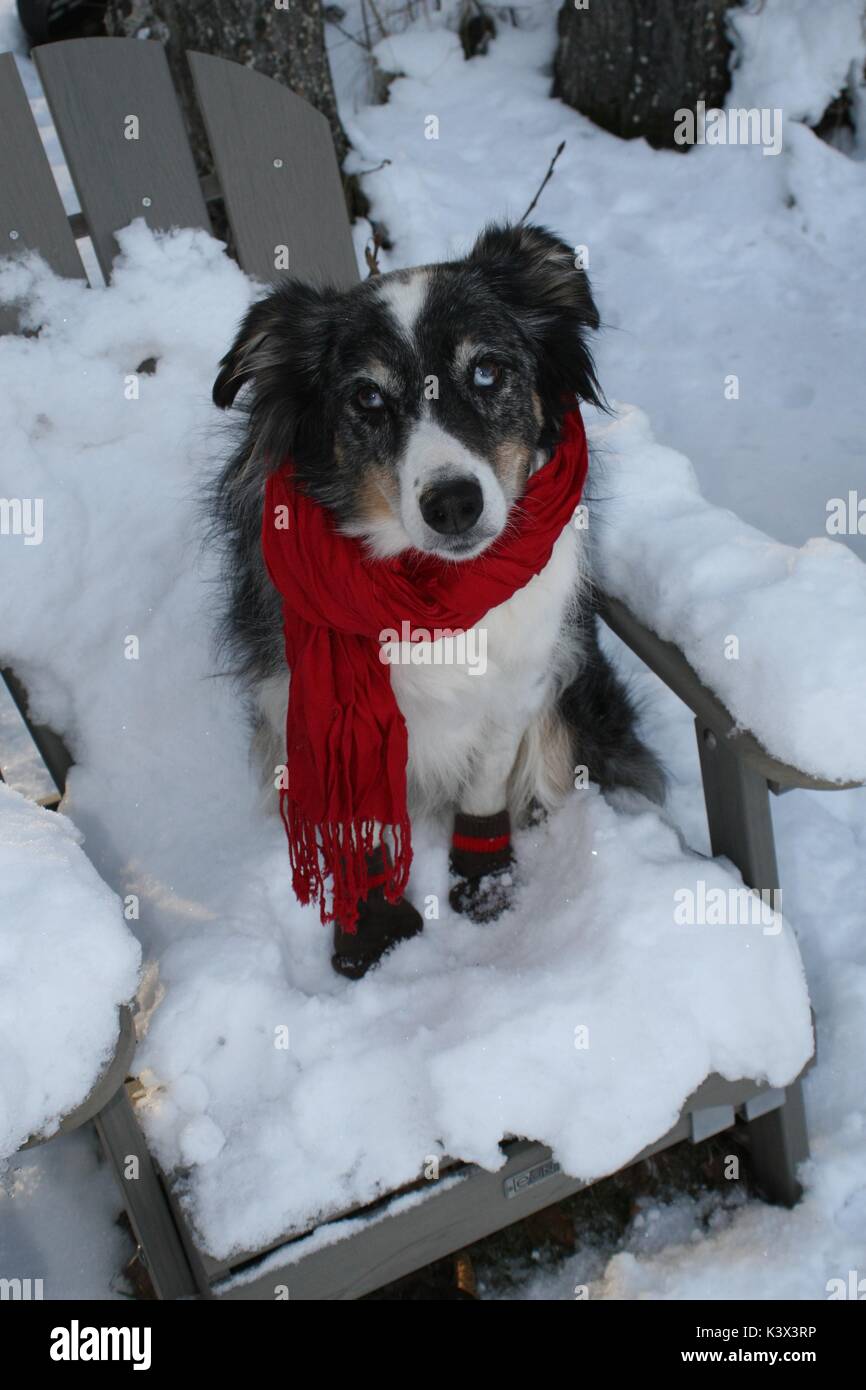Baby with cold hi-res stock photography and images - Alamy