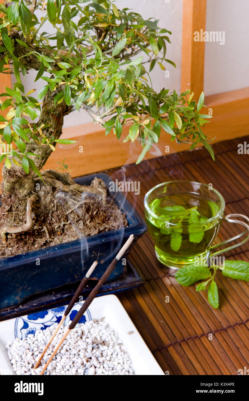 Bonsai; incense and green tea against a japanese traditional shoji ...