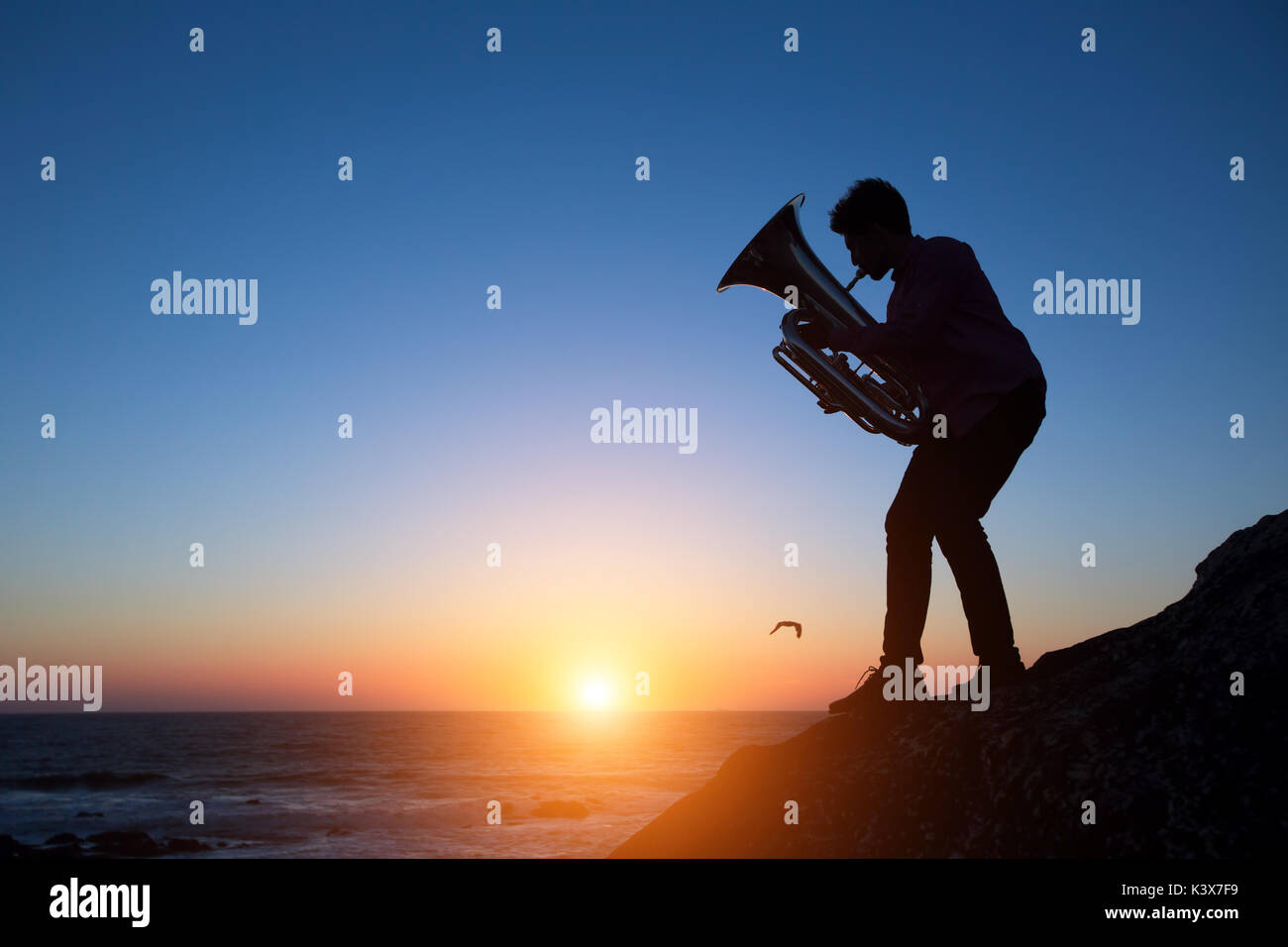 Silhouette of musician play Tuba on sea shore at amazing sunset Stock ...