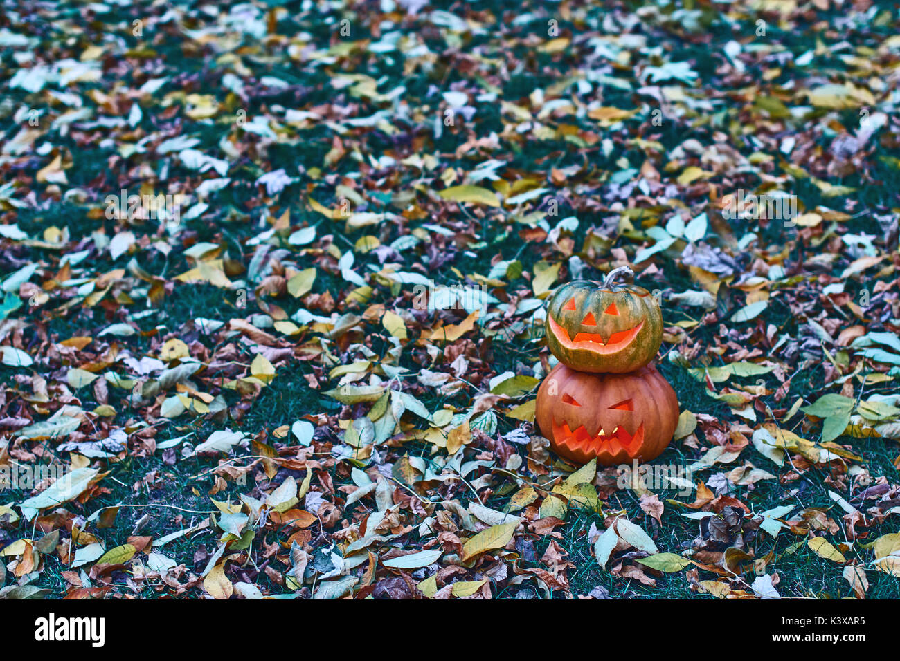 Hidden pumpkins hi-res stock photography and images - Alamy