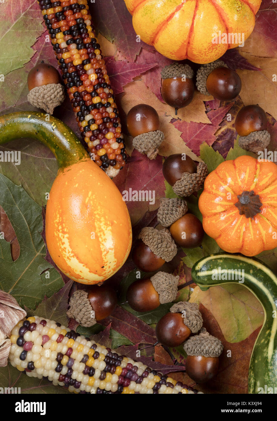 Vertical filled frame of Autumn foliage with gourds, corns and acorns ...