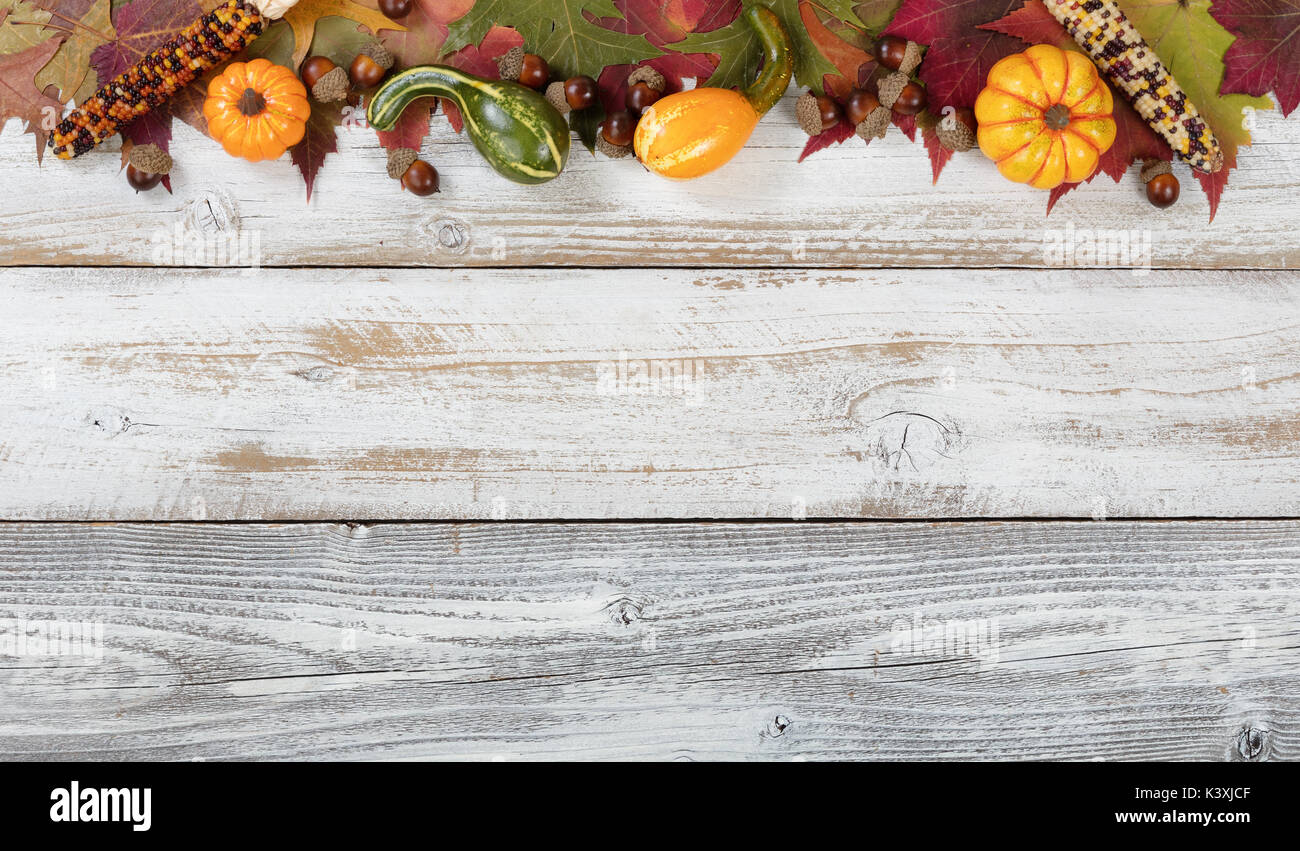 Autumn foliage with gourds, corns and acorns for Thanksgiving and fall ...