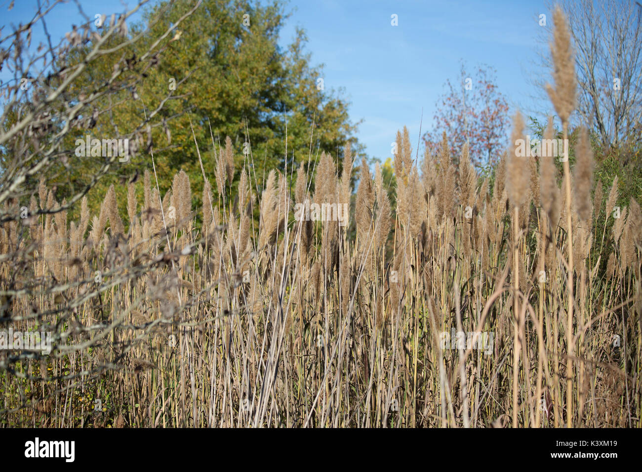 Wavering water hi-res stock photography and images - Alamy