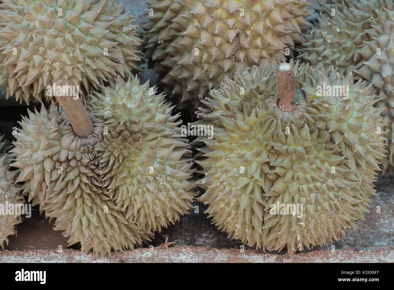 Smelly durian fruit sabah hi-res stock photography and images - Alamy