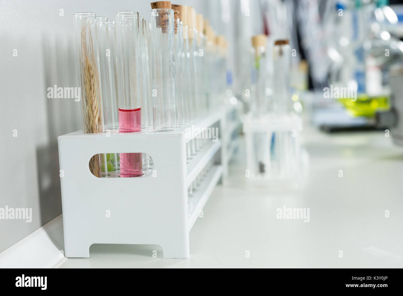 Close up of chemical test tubes in laboratory. Healthcare and ...