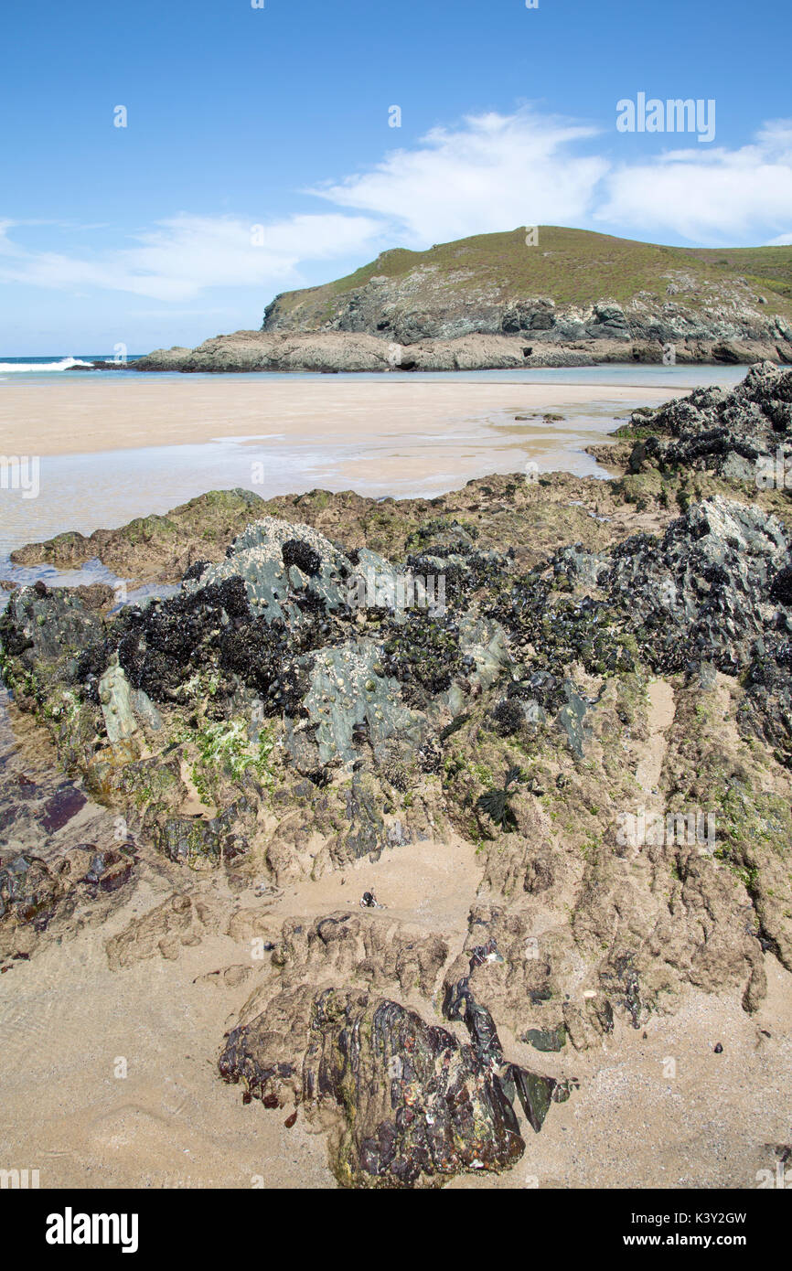 Pantin beach hi-res stock photography and images - Alamy