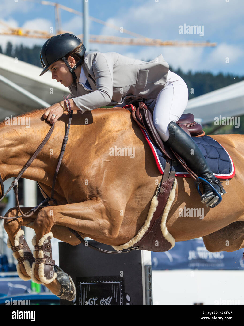 Show jumping saddle close up hi-res stock photography and images - Alamy
