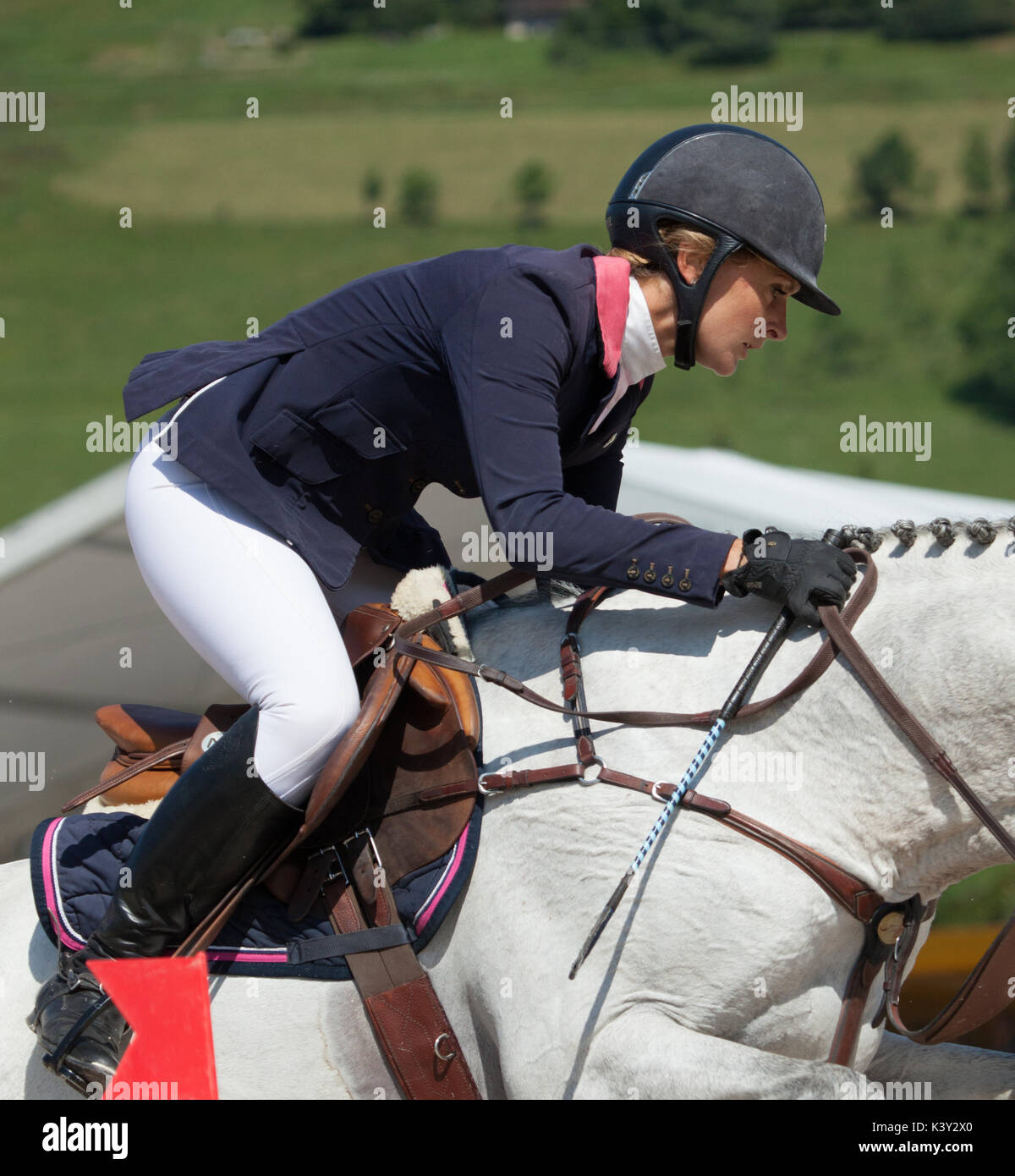 Show jumping saddle close up hi-res stock photography and images - Alamy