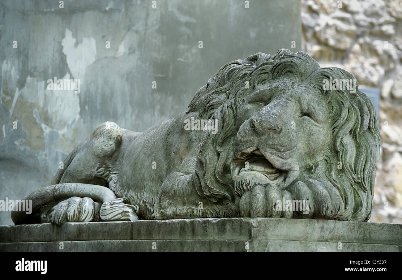 Lion statue in the center of Lviv Stock Photo - Alamy