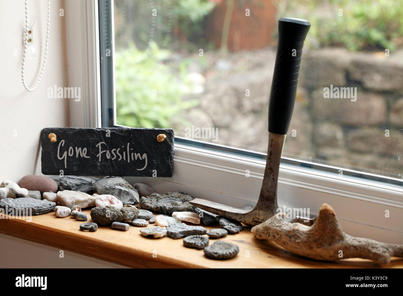 Fossil hunting hammer hi-res stock photography and images - Alamy