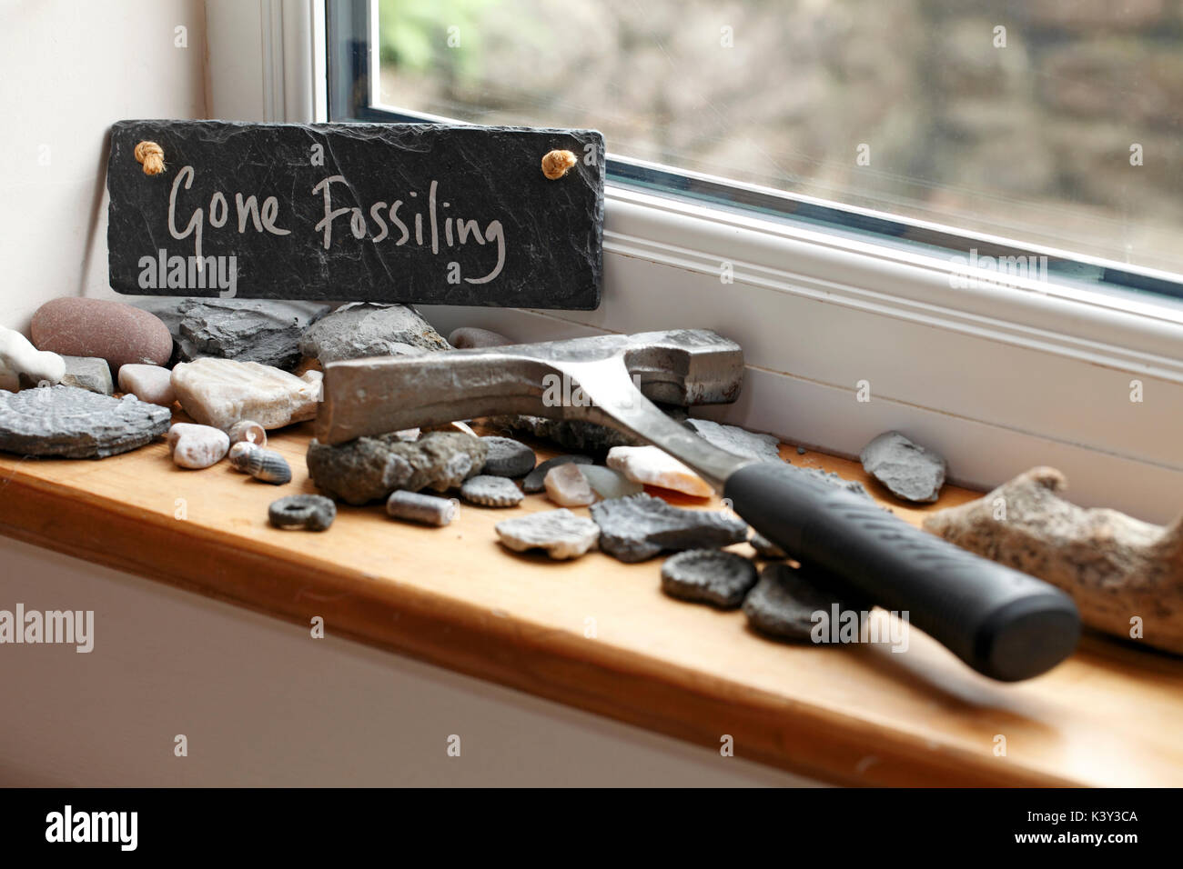 Fossil hunting hammer hi-res stock photography and images - Alamy