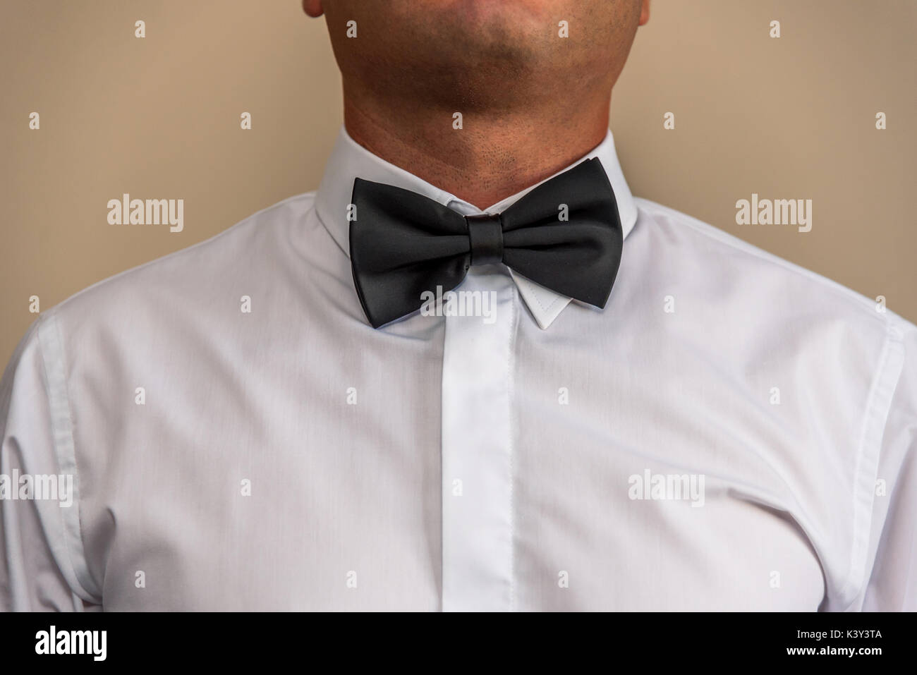 Metallic bowtie hi-res stock photography and images - Alamy