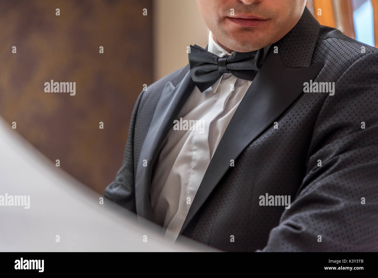 Metallic bowtie hi-res stock photography and images - Alamy