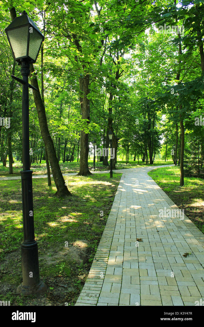 Beautiful city park with path and green trees and path Stock Photo - Alamy