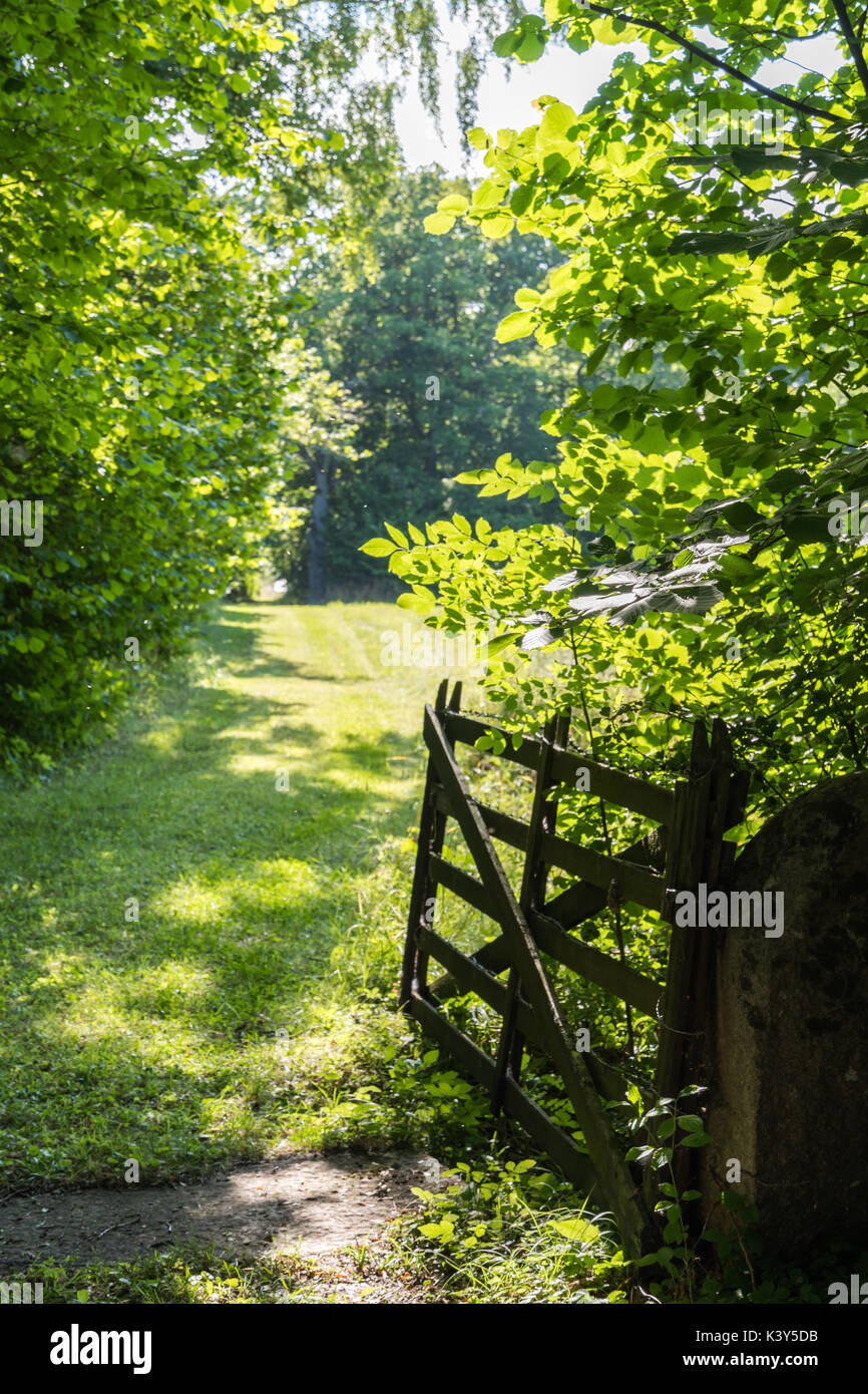 Open gate in a forest hi-res stock photography and images - Alamy