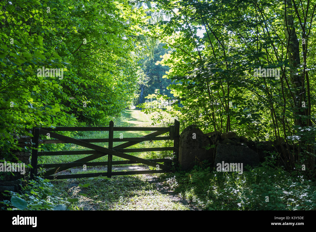 Old wooden gate in a lush greenery at the swedish island Oland Stock ...