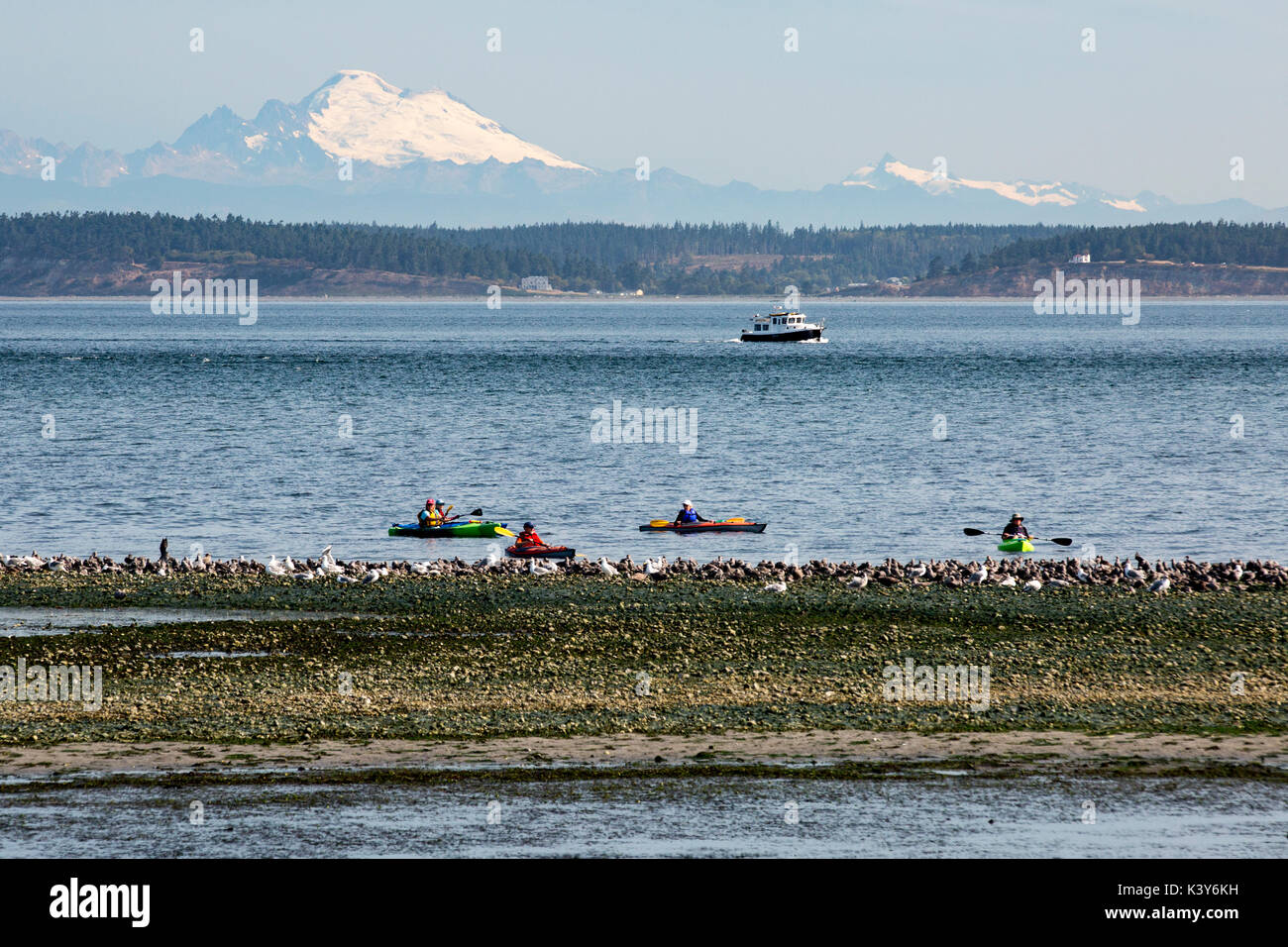 Puget sound beach hi-res stock photography and images - Alamy