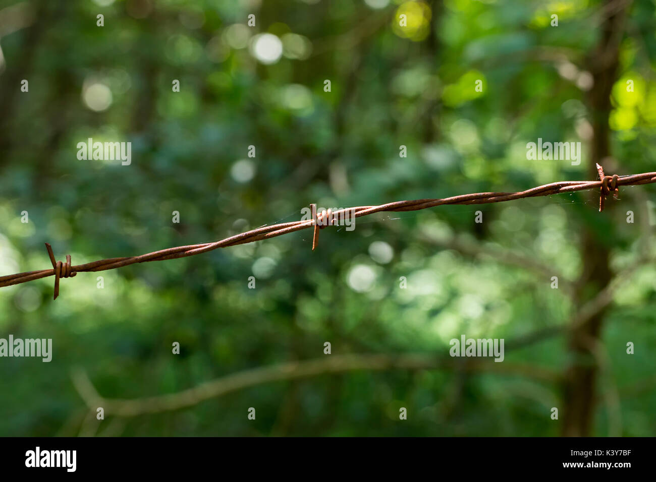 Single strand of barbed wire on farm Stock Photo - Alamy