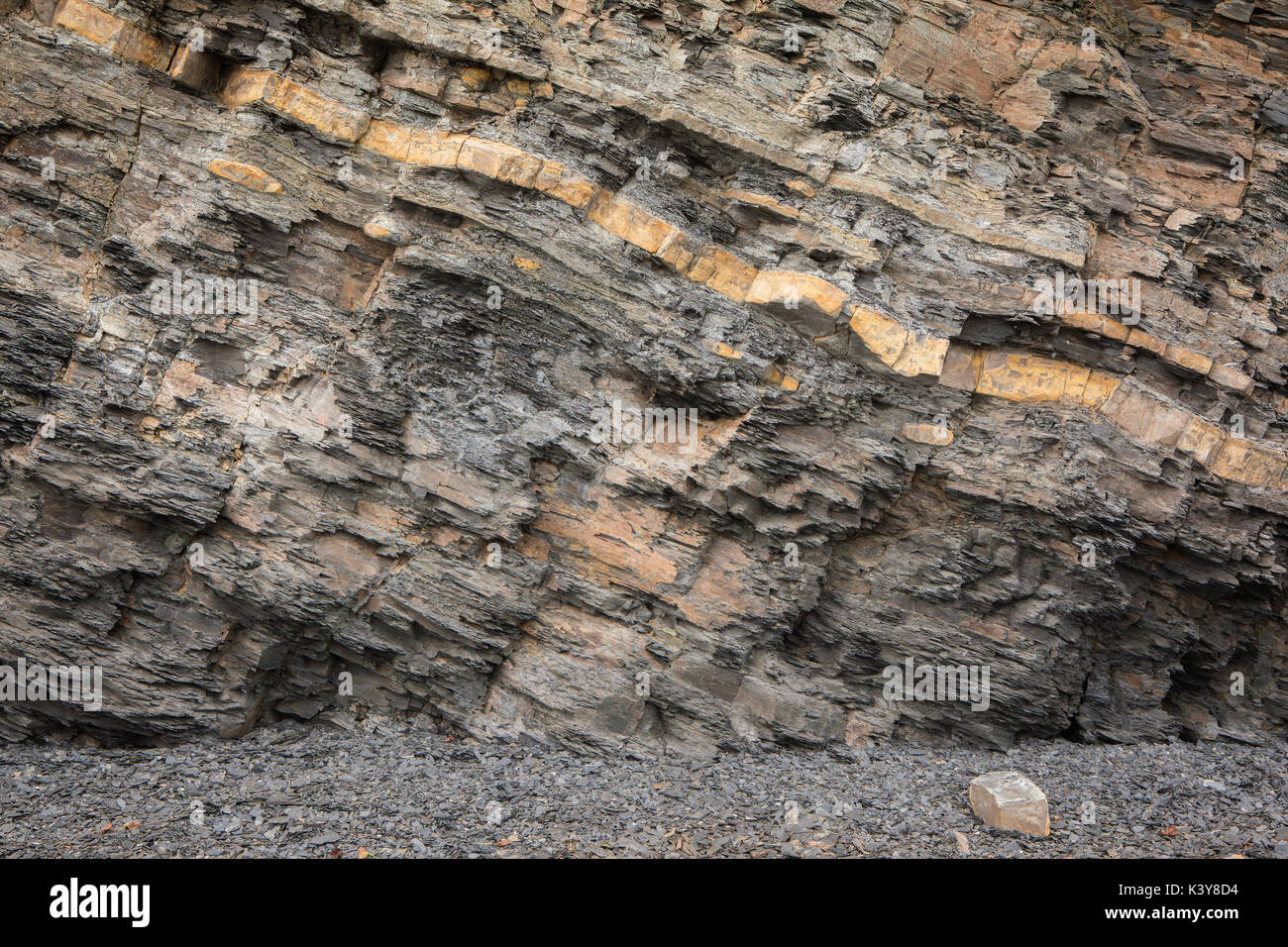 Sedimentary rock fossil canada hi-res stock photography and images - Alamy