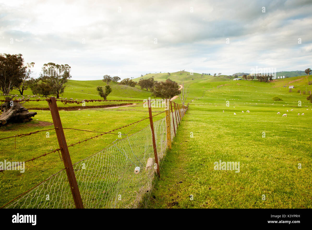 Aussie colour hi-res stock photography and images - Alamy