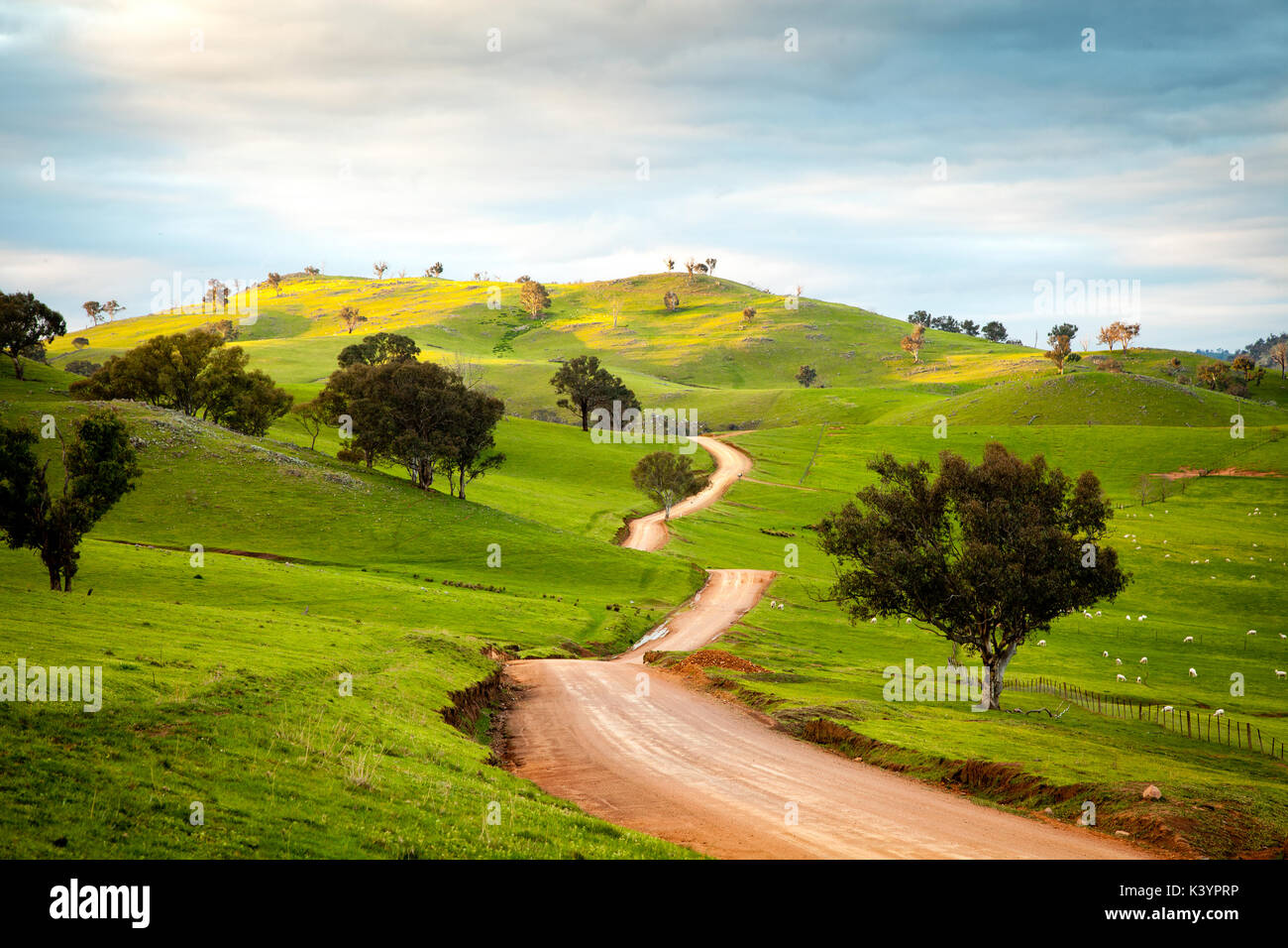 Australian countryside hi-res stock photography and images - Alamy