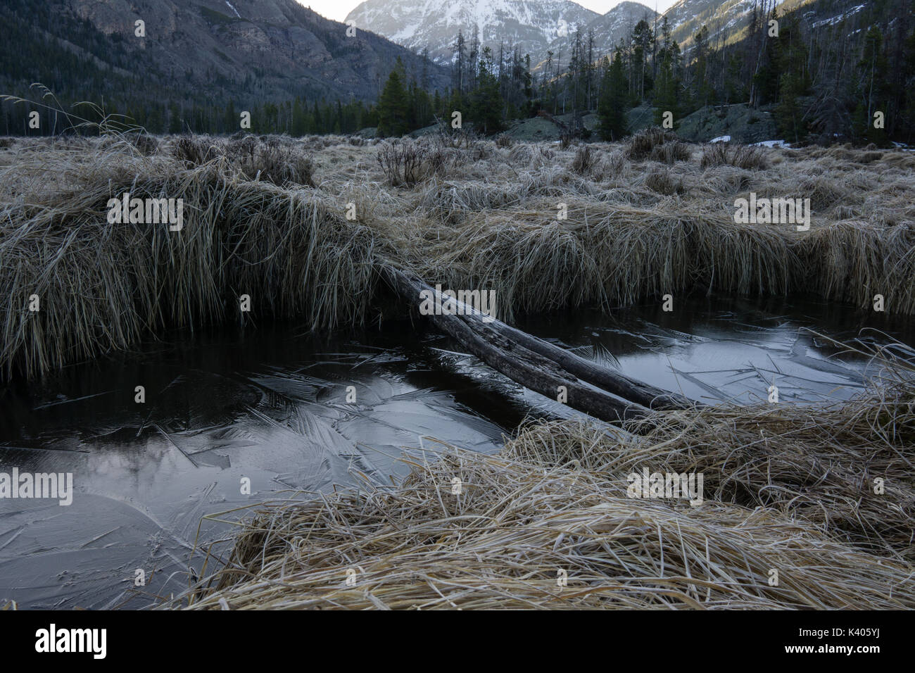 Sunlight starts to fill the valley along the East Inlet Trail, in Rocky ...