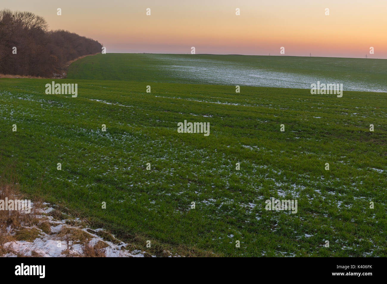Empty crop rows hi-res stock photography and images - Alamy