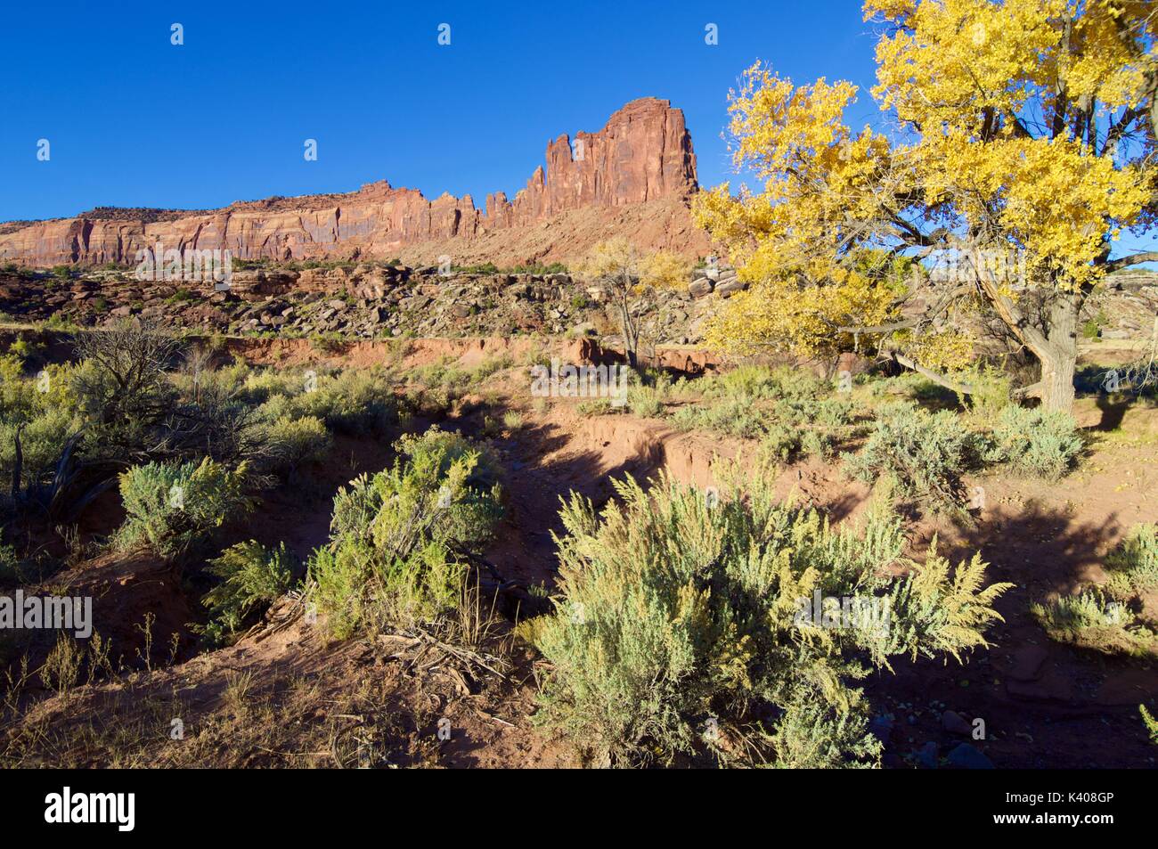 Indian creek in moab hi-res stock photography and images - Alamy