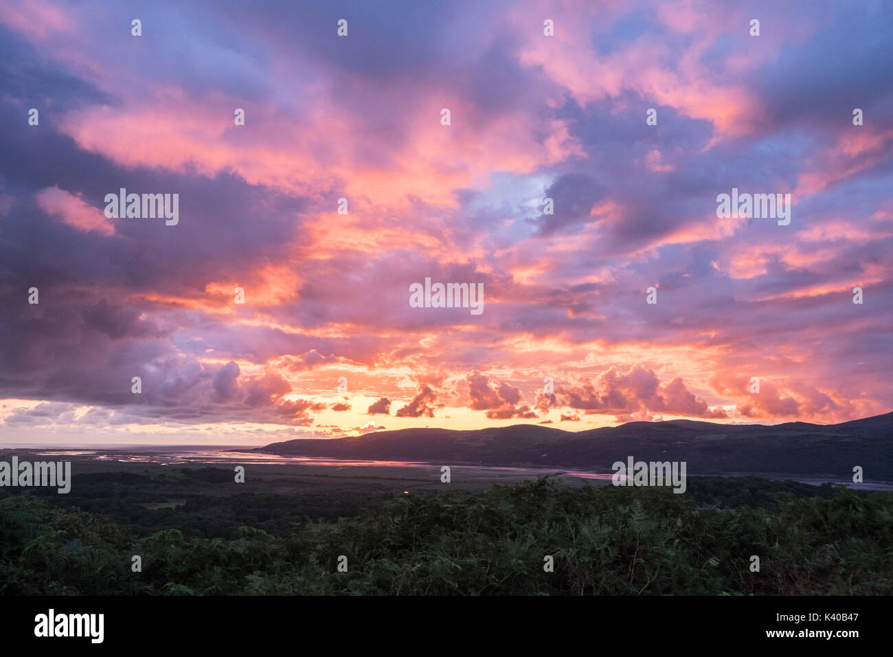 Over the river dovey hi-res stock photography and images - Alamy