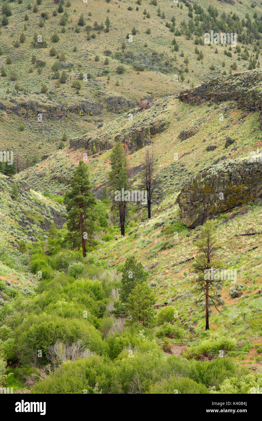 Deep creek canyon hi-res stock photography and images - Alamy