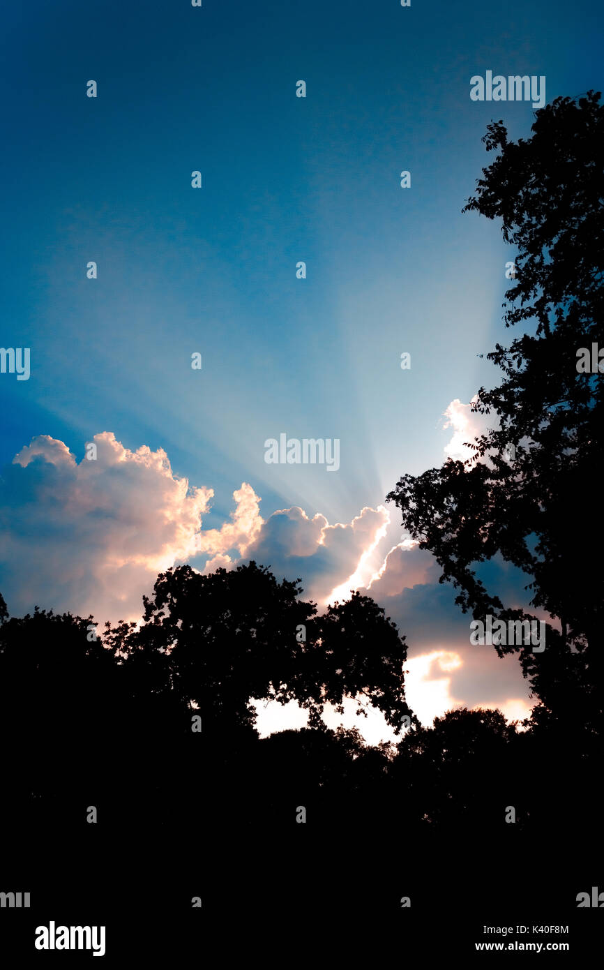 Sun rays solar rays hi-res stock photography and images - Alamy