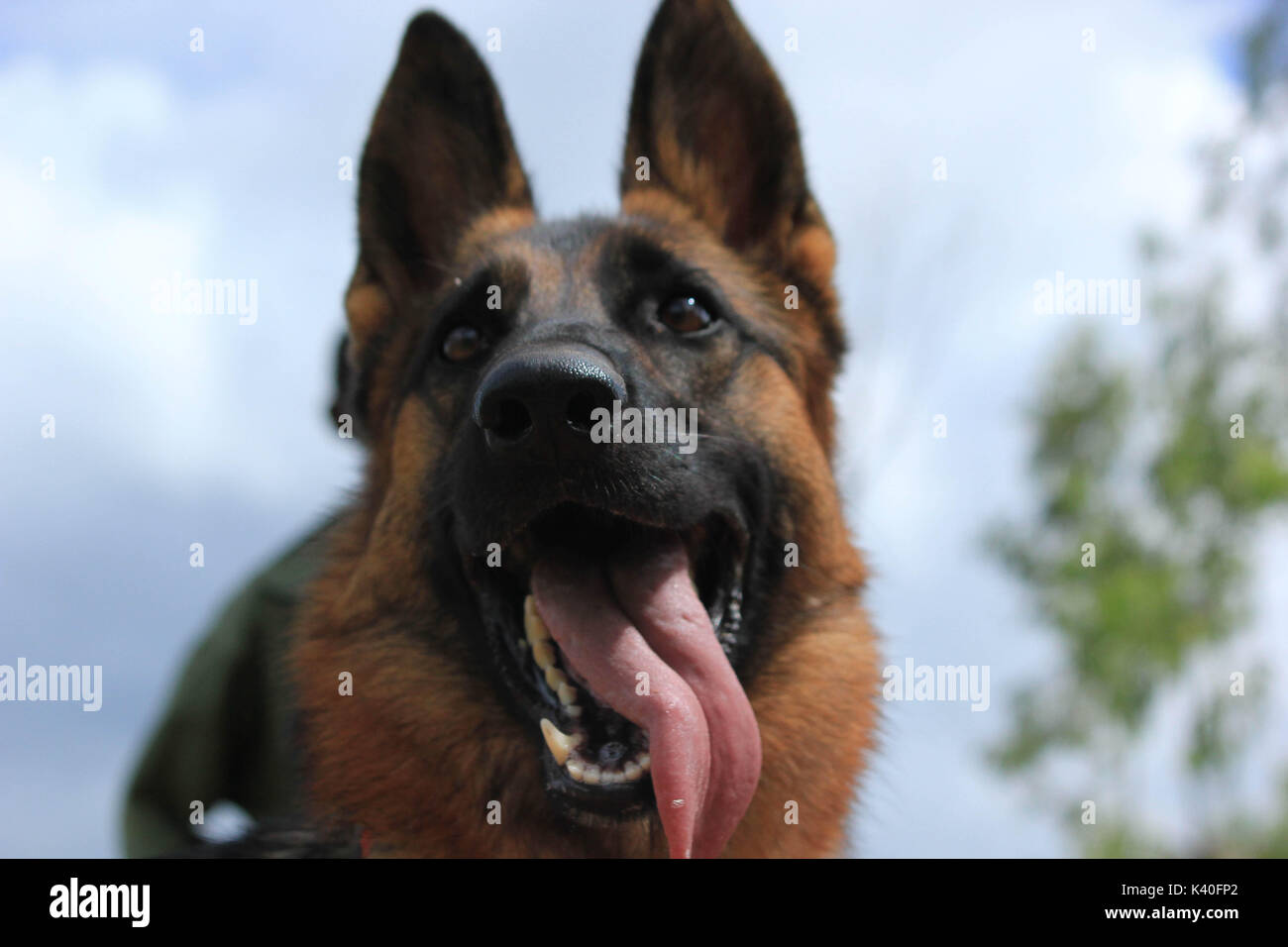 Kenyan sheppard hi-res stock photography and images - Alamy