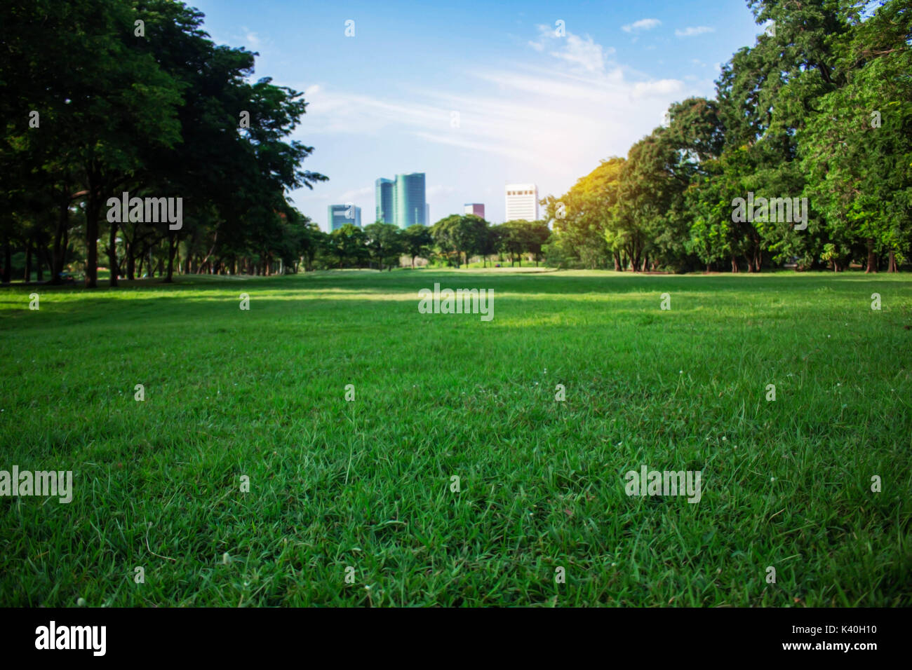 Lawn and trees of city parks at sky Stock Photo - Alamy
