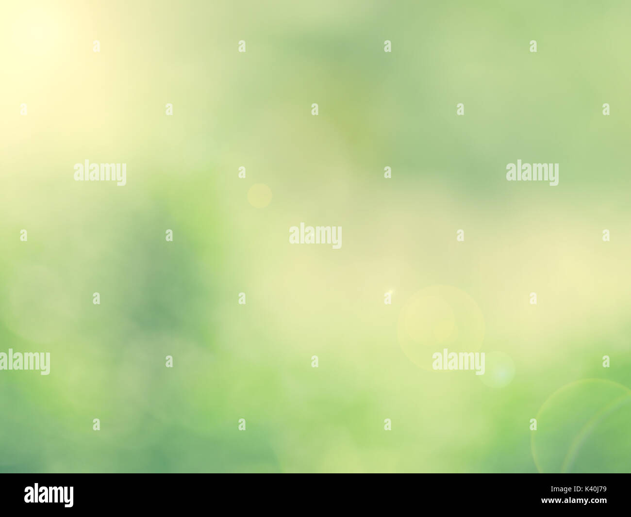 Abstract green nature background hi-res stock photography and images ...