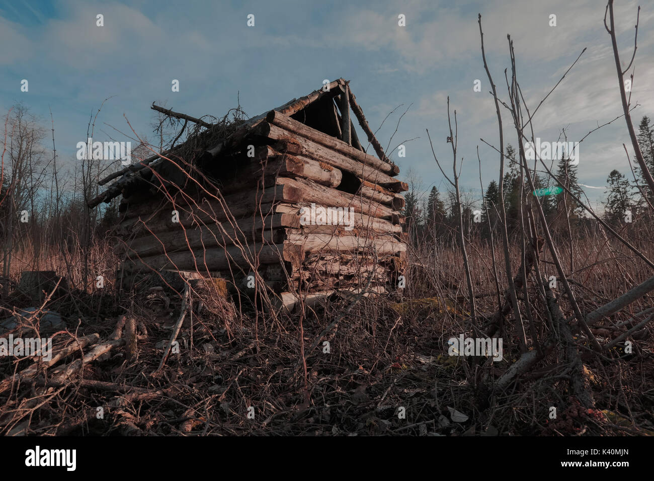 Old abandoned forest hut Stock Photo - Alamy