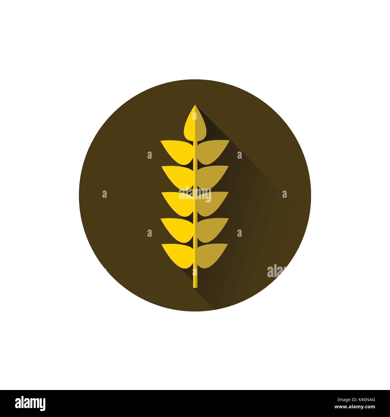 Ear barley grain color Stock Vector Images - Alamy