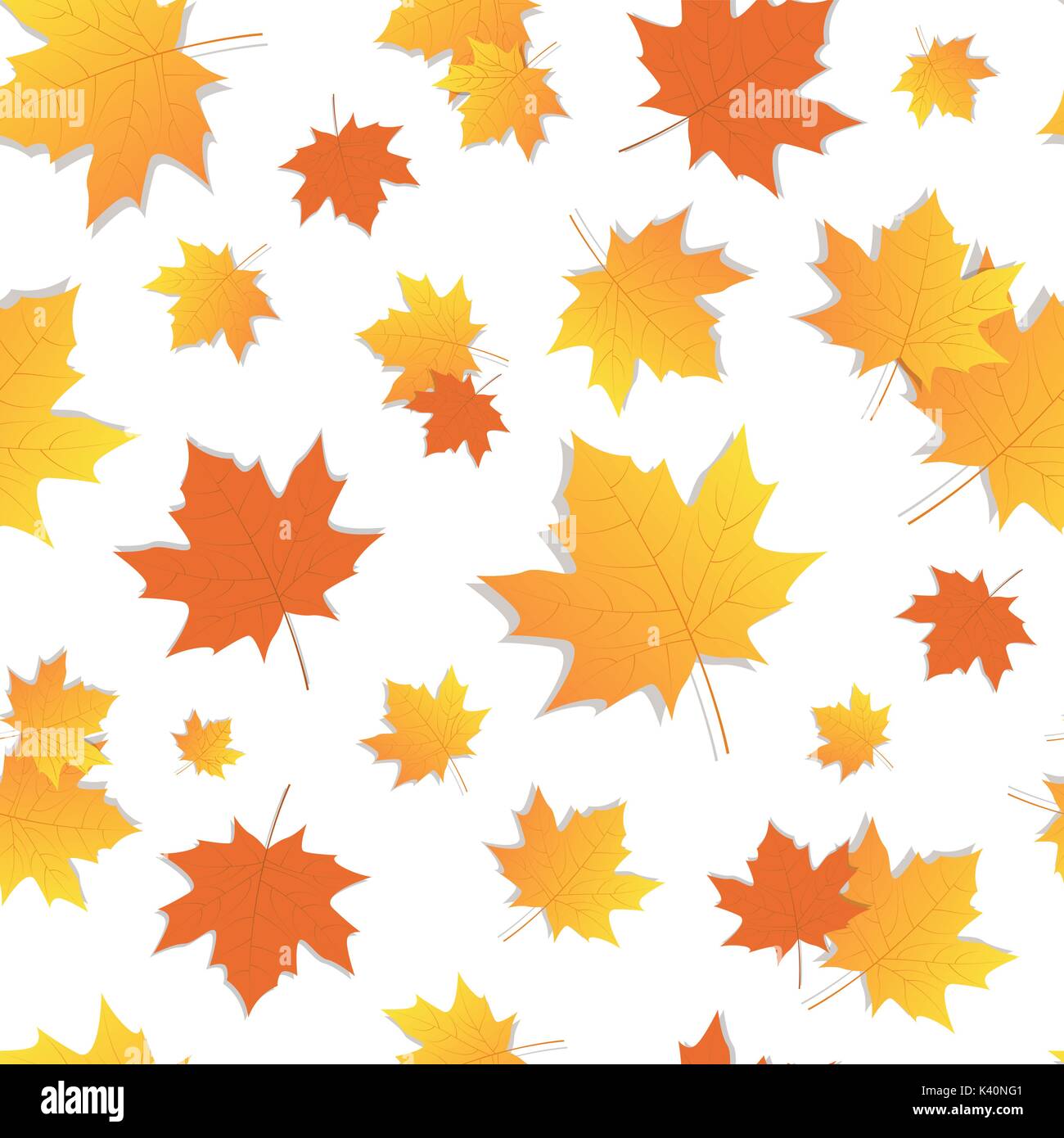 Marple leaf Stock Vector Images - Alamy