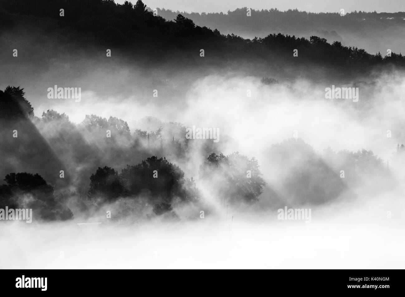 Powerful sun rays cutting through the fog and projecting shadows of ...