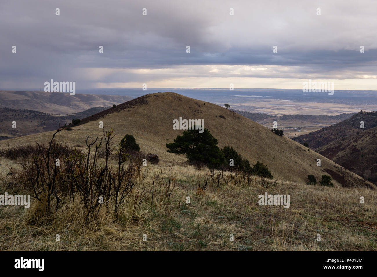 Spring growth at Matthews/Winters Park in Morrison, Colorado Stock ...