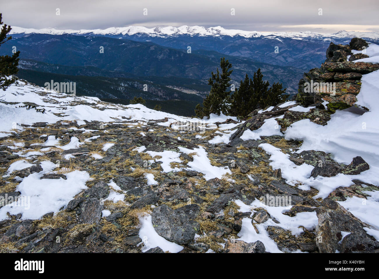 Grass is exposed in early spring in the high country of Colorado. This ...