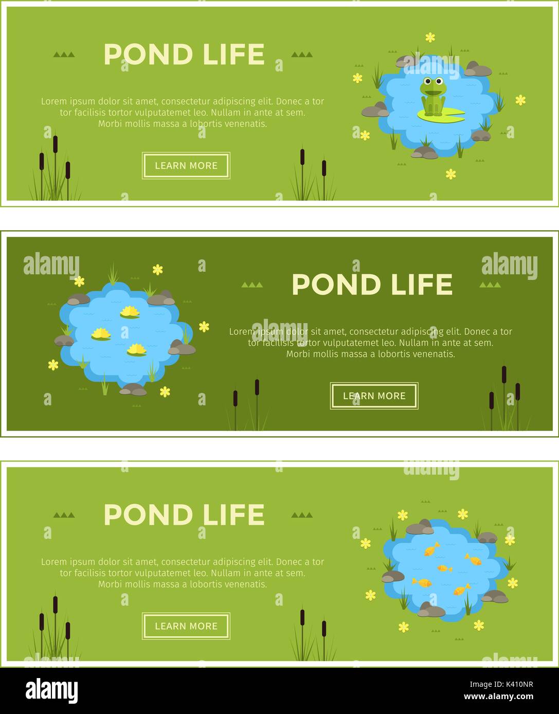 Lily pool garden Stock Vector Images - Alamy