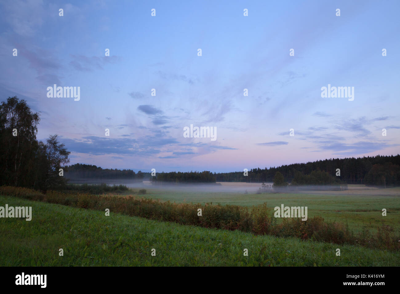 Sunrise summer morning at countryside field Stock Photo - Alamy