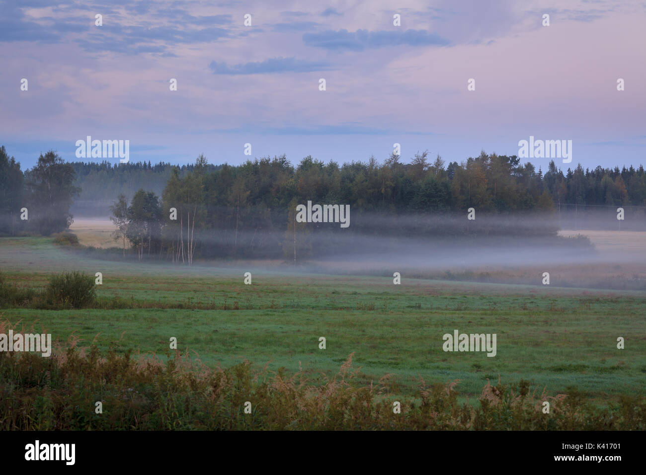 Sunrise summer morning at countryside field Stock Photo - Alamy
