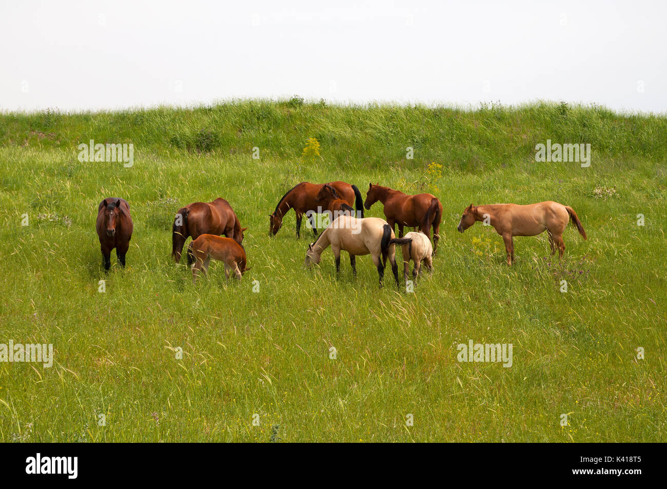 Lull Farm High Resolution Stock Photography and Images - Alamy