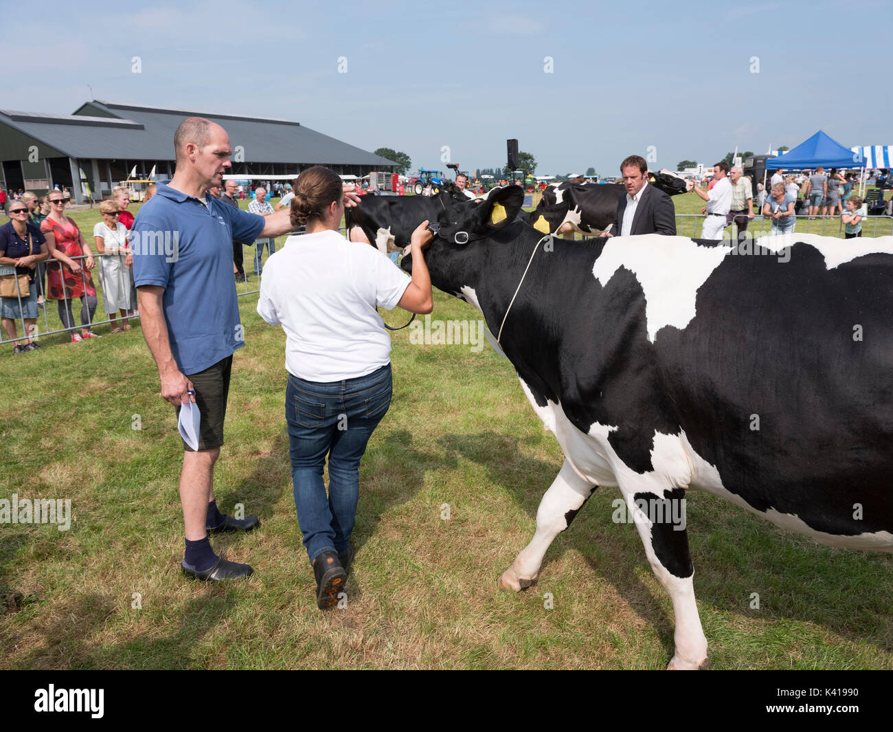 Prize Cow High Resolution Stock Photography and Images - Alamy